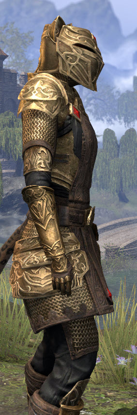 ESO Fashion | Imperial Champion (Elder Scrolls Online)