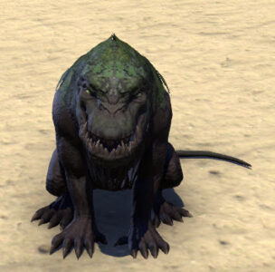 ESO Fashion | Bog Dog (Elder Scrolls Online)