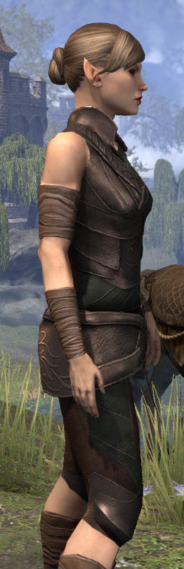 ESO Fashion | Eveli's Adventuring Leathers (Elder Scrolls Online)