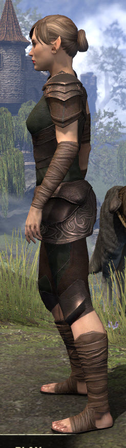 ESO Fashion | Eveli's Adventuring Leathers (Elder Scrolls Online)