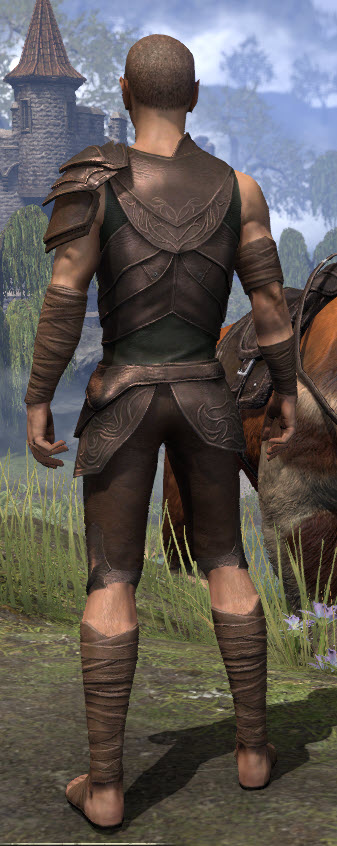 ESO Fashion | Eveli's Adventuring Leathers (Elder Scrolls Online)