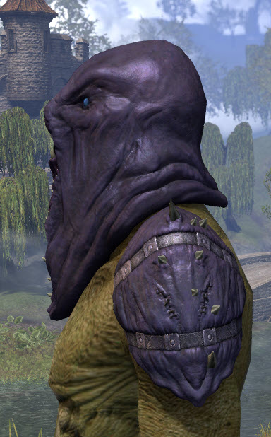 ESO Fashion | Glorgoloch the Destroyer (Elder Scrolls Online)