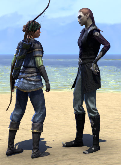 ESO Fashion | Mirri Elendis (Elder Scrolls Online)