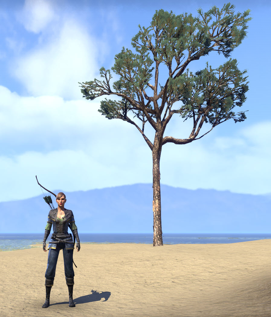 ESO Fashion | Tree, Branching Blackwoood Pine (Elder Scrolls Online)
