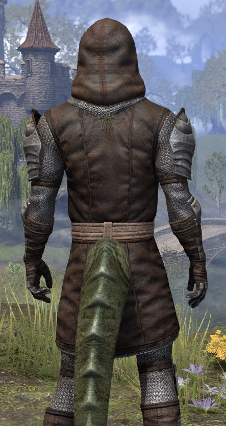 ESO Fashion | Knight-Aspirant (Elder Scrolls Online)