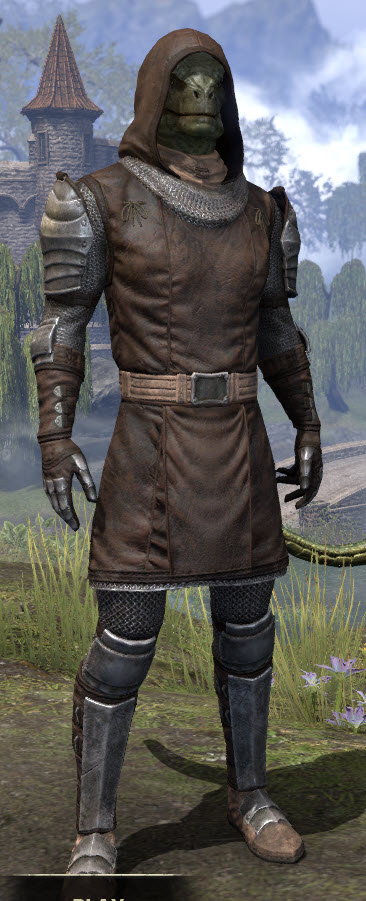 ESO Fashion | Knight-Aspirant (Elder Scrolls Online)