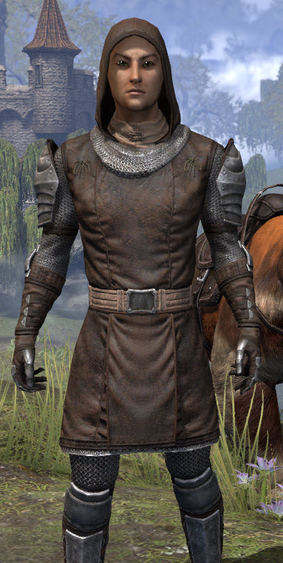ESO Fashion | Knight-Aspirant (Elder Scrolls Online)