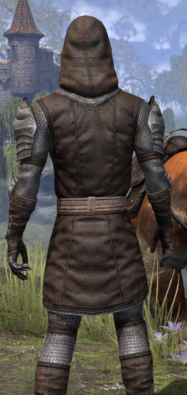 ESO Fashion | Knight-Aspirant (Elder Scrolls Online)