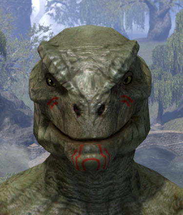 ESO Fashion | Sul-Xan Prophet Face Markings (Elder Scrolls Online)