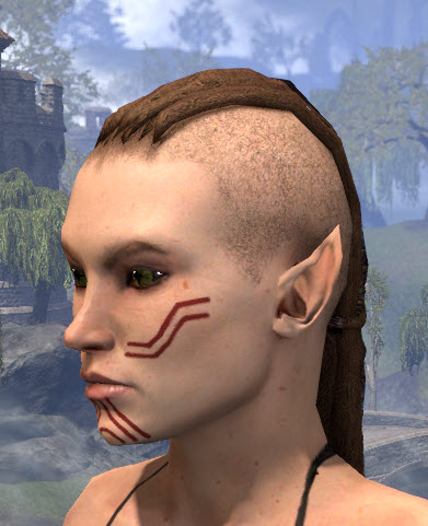 ESO Fashion | Sul-Xan Prophet Face Markings (Elder Scrolls Online)