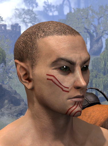 ESO Fashion | Sul-Xan Prophet Face Markings (Elder Scrolls Online)
