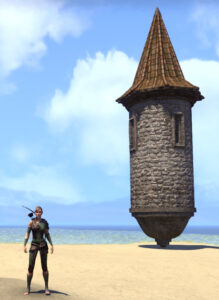 ESO Fashion | Leyawiin Turret, Castle (Elder Scrolls Online)