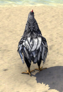 ESO Fashion | Cropsford Hen (Elder Scrolls Online)