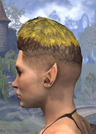 ESO Fashion | The Adoring Stand (Elder Scrolls Online)