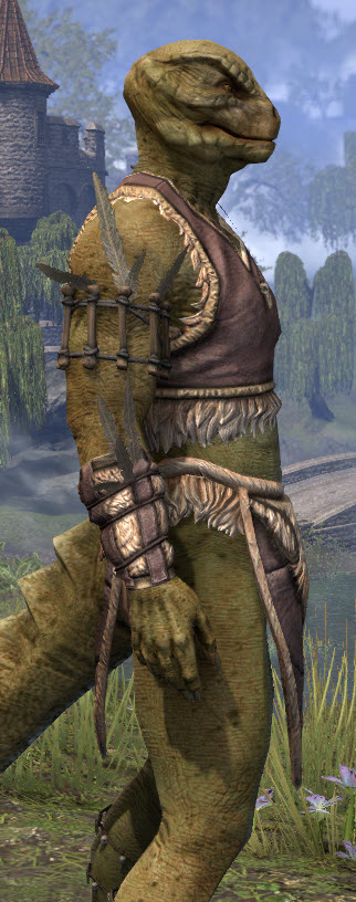 ESO Fashion | Timbercrow Wanderer (Elder Scrolls Online)