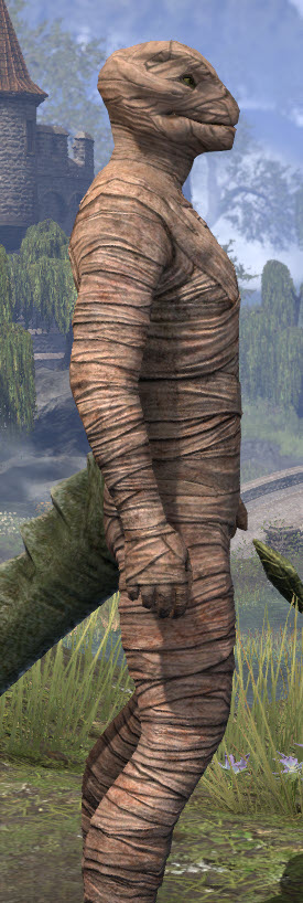 ESO Fashion | Grisly Mummy Wrap (Elder Scrolls Online)