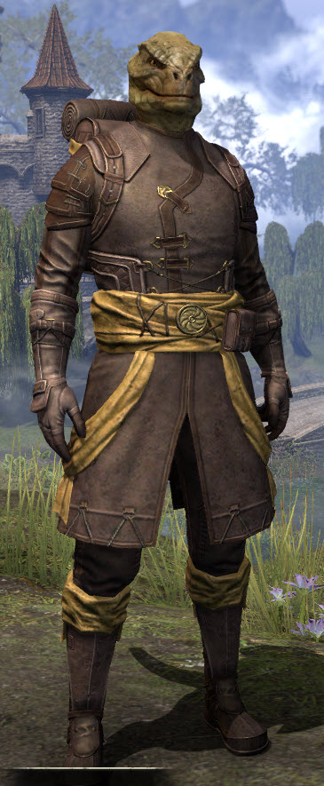 ESO Fashion | Oblivion Explorer Garb (Elder Scrolls Online)