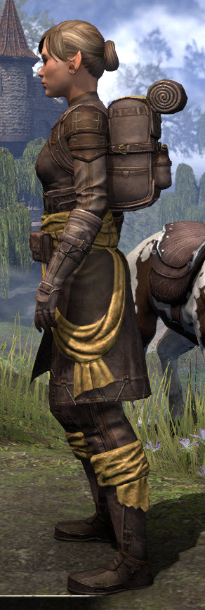ESO Fashion | Oblivion Explorer Garb (Elder Scrolls Online)