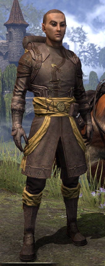 ESO Fashion | Oblivion Explorer Garb (Elder Scrolls Online)