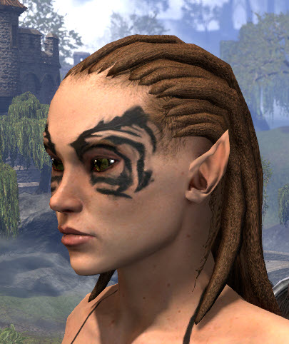 ESO Fashion | The Black Drake Face Warpaint (Elder Scrolls Online)
