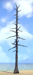 ESO Fashion | Tree, Short Charred Pine (Elder Scrolls Online)