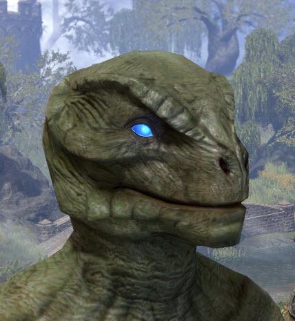 ESO Fashion | Azure Eyes (Elder Scrolls Online)