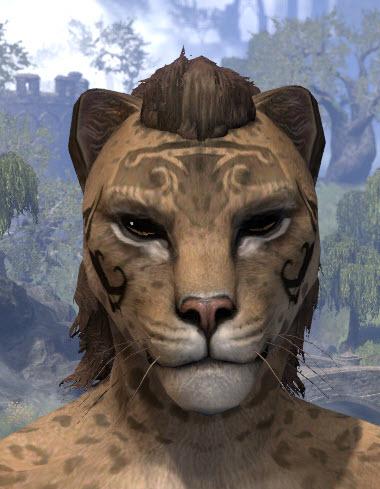 ESO Fashion | Fortune's Anvil Face Markings (Elder Scrolls Online)