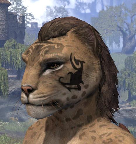 ESO Fashion | Fortune's Anvil Face Markings (Elder Scrolls Online)