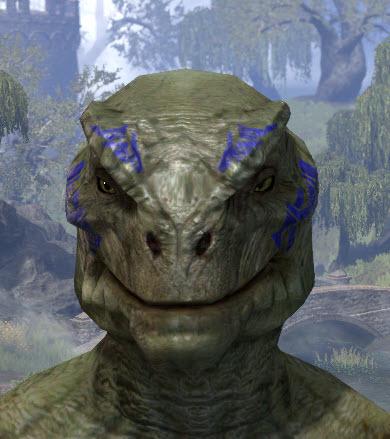 ESO Fashion | Xivilai Cruelean Linework Visage (Elder Scrolls Online)