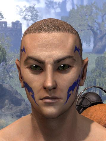 ESO Fashion | Xivilai Cruelean Linework Visage (Elder Scrolls Online)