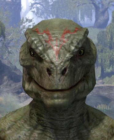 ESO Fashion | Xivilai Rubyfire Linework Visage (Elder Scrolls Online)