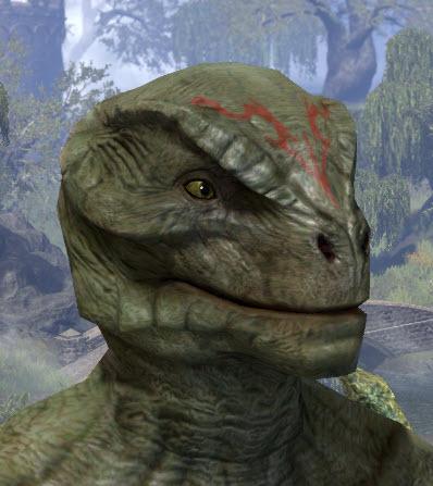 ESO Fashion | Xivilai Rubyfire Linework Visage (Elder Scrolls Online)