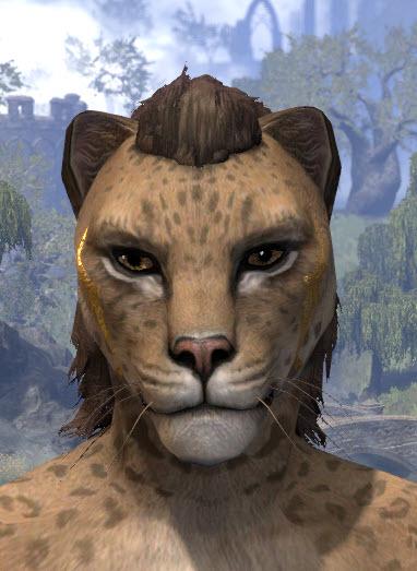 ESO Fashion | Xivilai Vilegilt Linework Visage (Elder Scrolls Online)