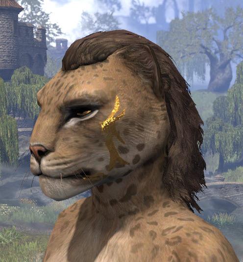 ESO Fashion | Xivilai Vilegilt Linework Visage (Elder Scrolls Online)