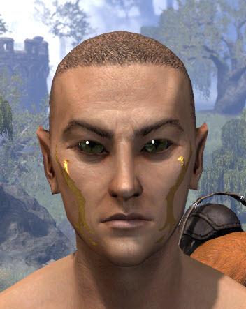 ESO Fashion | Xivilai Vilegilt Linework Visage (Elder Scrolls Online)