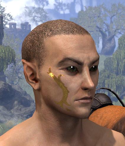 ESO Fashion | Xivilai Vilegilt Linework Visage (Elder Scrolls Online)