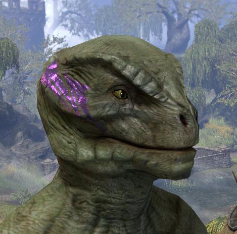 ESO Fashion | Xivilai Weltwine Linework Visage (Elder Scrolls Online)