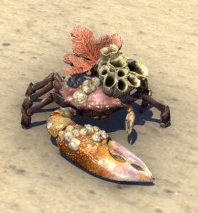ESO Fashion | Barnacle-Back Coral Crab (Elder Scrolls Online)