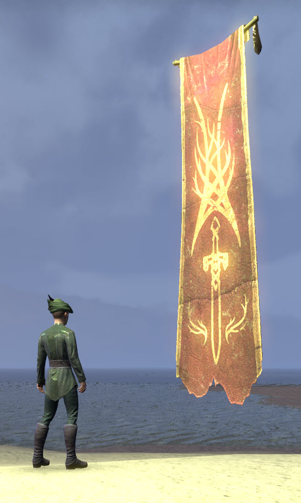 ESO Fashion | Grahtwoood Fighter's Guild Banner (Elder Scrolls Online)