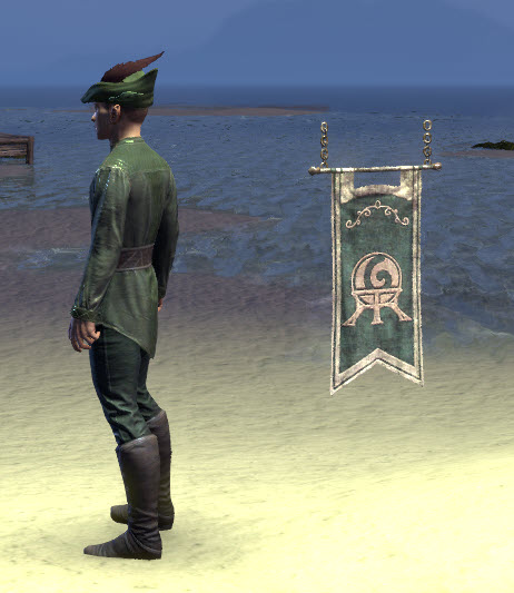 ESO Fashion | Mystic's Banner (Elder Scrolls Online)