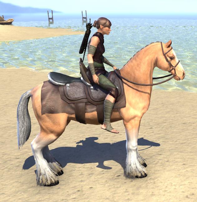 ESO Fashion | Grand Pillion Draft Horse (Elder Scrolls Online)