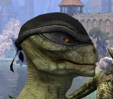 ESO Fashion | Savvy Scoundrel's Mask (Elder Scrolls Online)