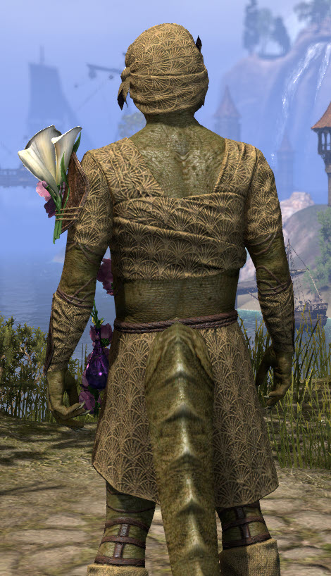ESO Fashion | Second Seed Raiment (Elder Scrolls Online)
