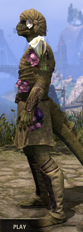 ESO Fashion | Second Seed Raiment (Elder Scrolls Online)