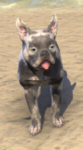 ESO Fashion | Sooty Breton Terrier (Elder Scrolls Online)