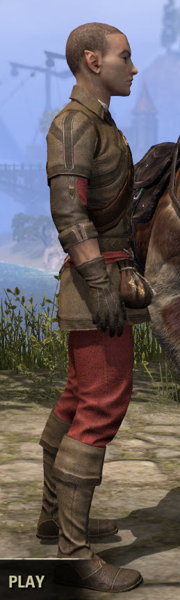 ESO Fashion | Jakarn's Ensemble (Elder Scrolls Online)