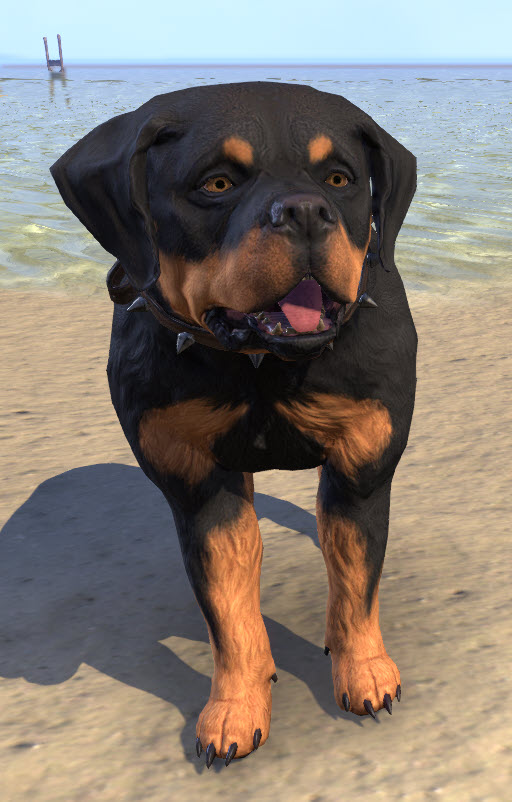 ESO Fashion | Heartland Butcher's Dog (Elder Scrolls Online)