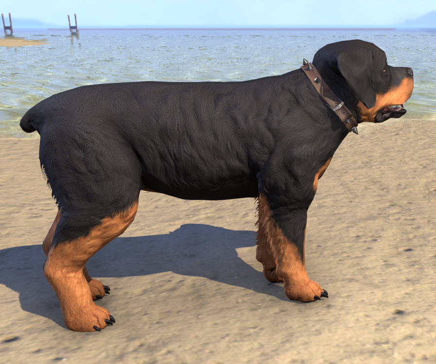 ESO Fashion | Heartland Butcher's Dog (Elder Scrolls Online)