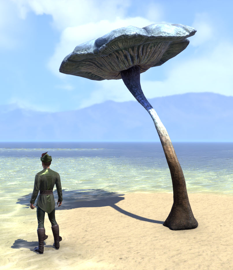 ESO Fashion | Mushroom, Twisted Tufted Cap (Elder Scrolls Online)