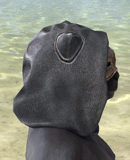 ESO Fashion | Society Domino Mask (Elder Scrolls Online)